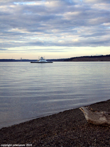 Saltar's Point Beach (Gordon Point)