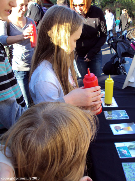 Red Wolf Woods at Point Defiance Zoo