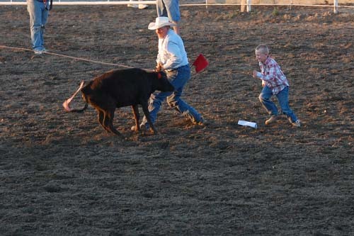 Side Trips: 8/29/10 - 9/5/10