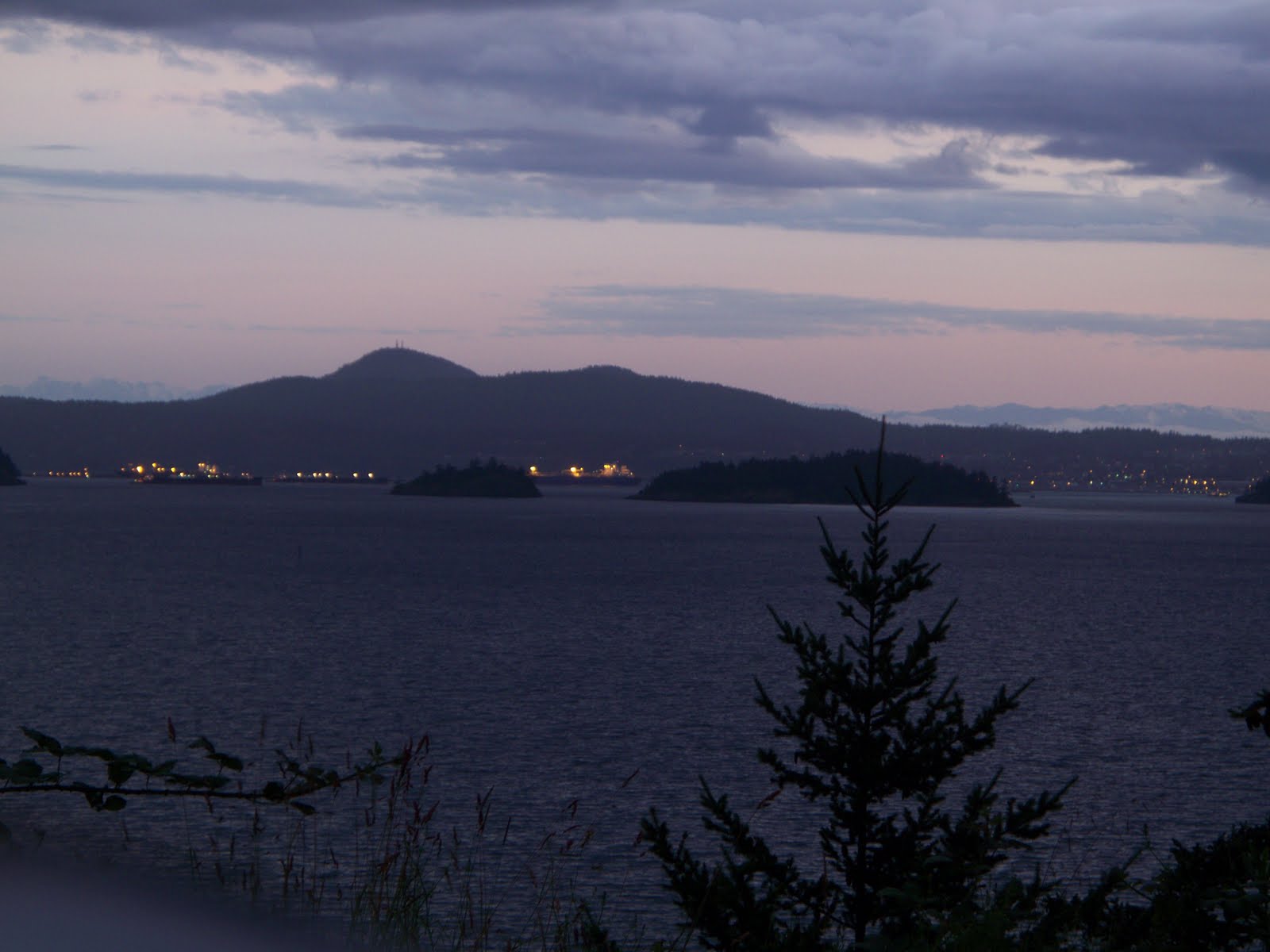 Galerie De l'Image De Couey: Samish Island, Washington State