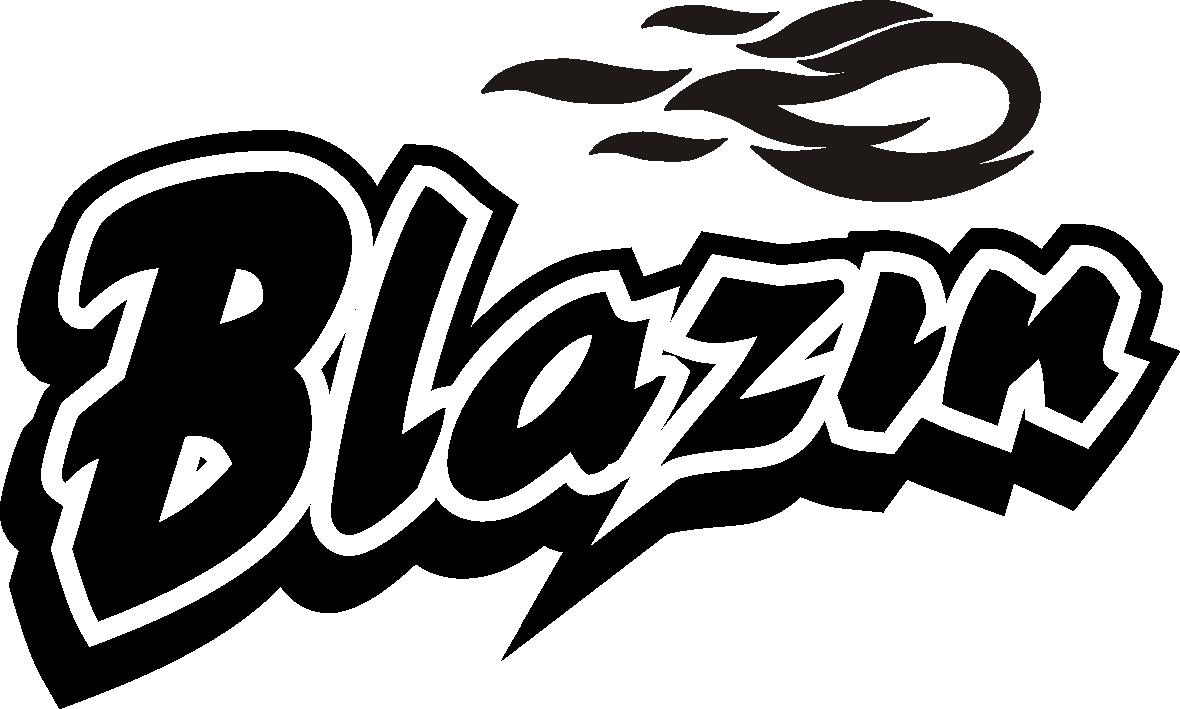 RJ's Multisport Blog: New 2011 Sponsor - Blazin Swimwear