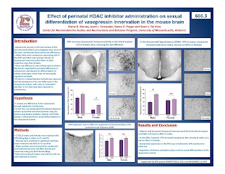 Jared Fernandez: A Stochastic Blog on Neuroscience: 2009 Society for ...