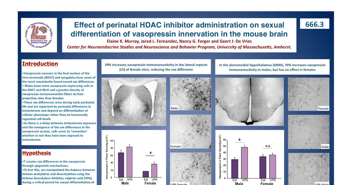 Jared Fernandez: A Stochastic Blog on Neuroscience: 2009 Society for ...