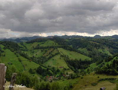 Alice Photo: Satul Pestera - comuna Moeciu