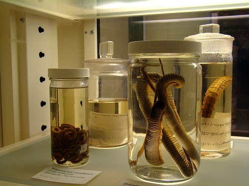 Propnomicon: It Floats