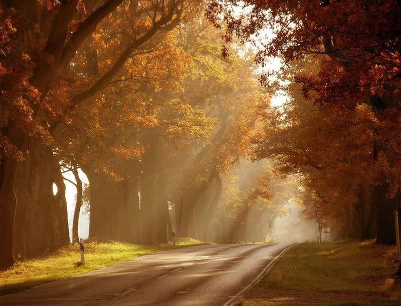 Moontides: Autumn Musings