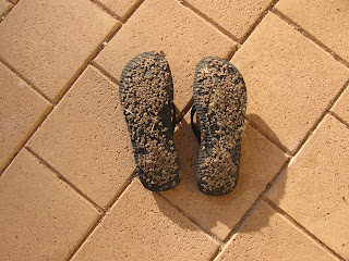 Timeless Oasis Garden: My Battle with Three Corner Jacks