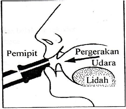 Kemahiran Bermain Recoder: Kemahiran Bermain Rekoder