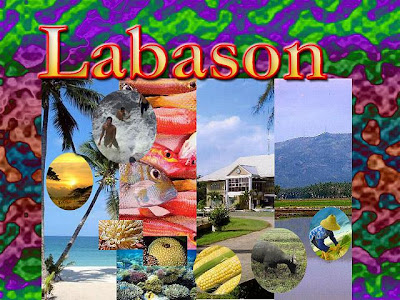 What's NEW in LABASON, ZaNorte: What's New in the municipality of ...