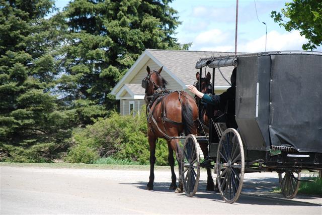 Russ-Stick Acres: Amish Bound