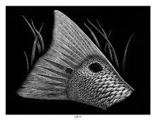 Sage Dog Studio: Scratchboard Art