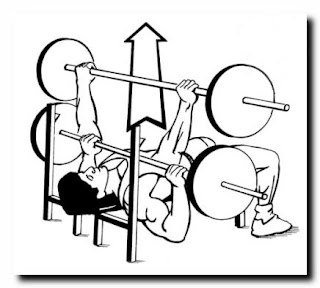 FuN MaaFia: How To Do The Perfect Bench Press To Maximise Your Strength ...