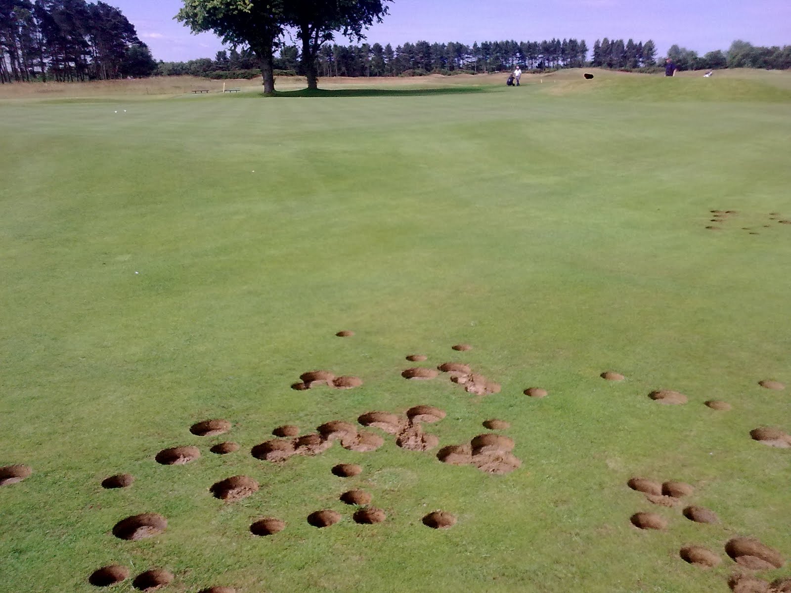 Carnoustie Golf Links: Wednesday 30th June