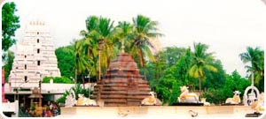 Srisailam: About srisailam temple