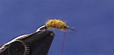 Fishing the Rockies: Best Damn Scud Pattern. Period.