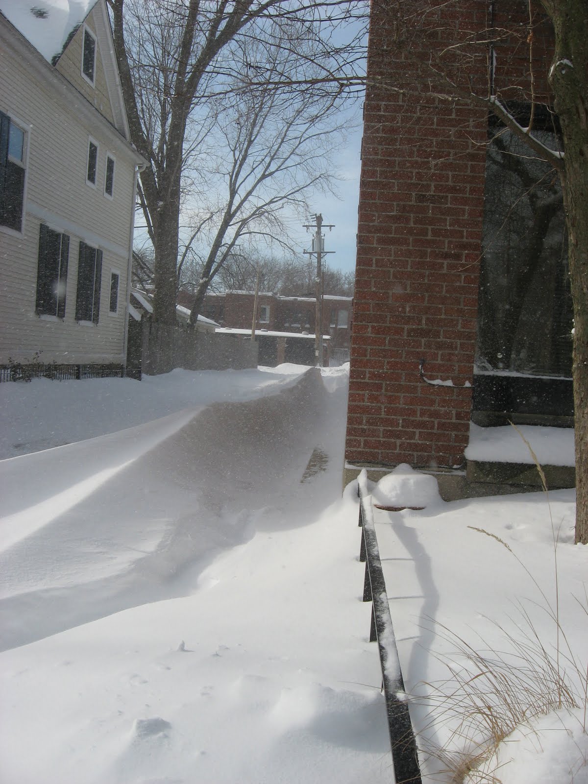 Rata's Rants: Chicago Blizzard! (Slash Snowpocalypse, slash Snowmaggedon)