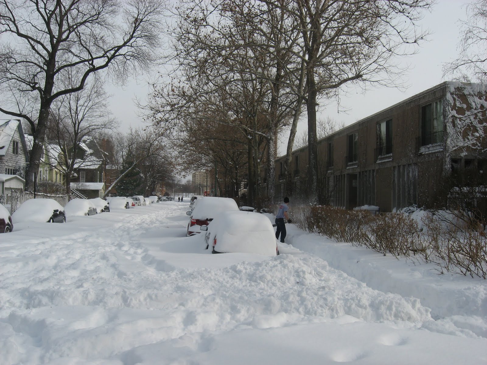 Rata's Rants: Chicago Blizzard! (Slash Snowpocalypse, slash Snowmaggedon)