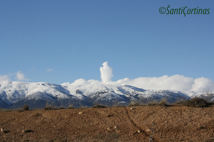 SantiCortinas: LA SAGRA Y SIERRA SECA RECOGEN NIEVE