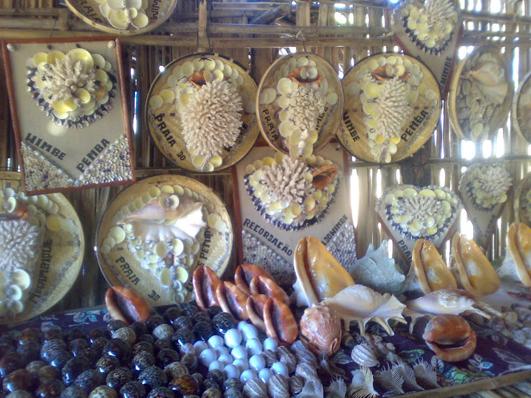 Baia de Pemba: as aguas paradisiacas da Praia do Wimbi - Baia de Pemba