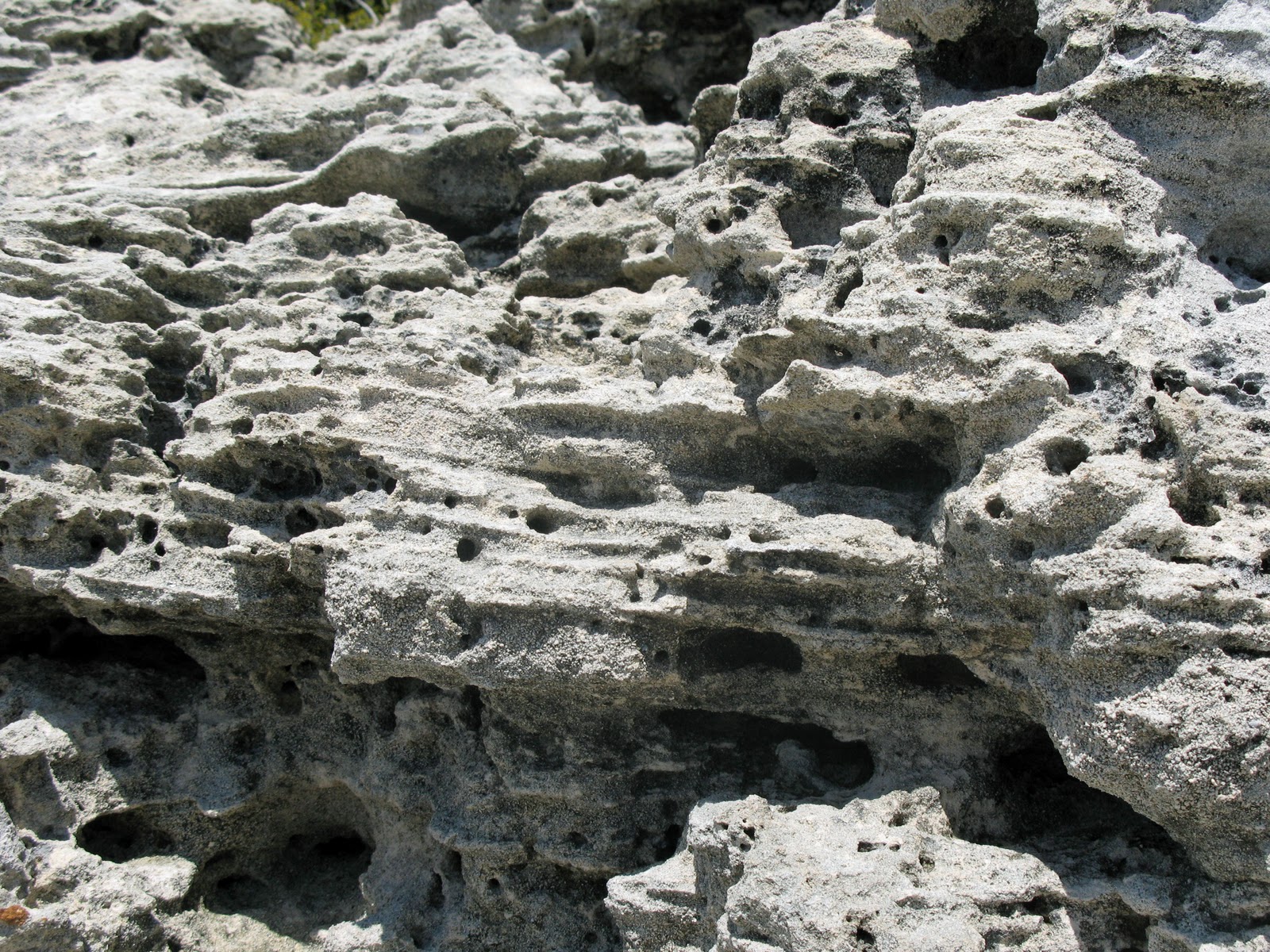 Written In Stone...seen through my lens: Lithified Sand Dunes of the ...