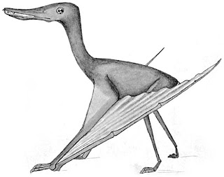The Pterosaur Database: Dragons of the Air