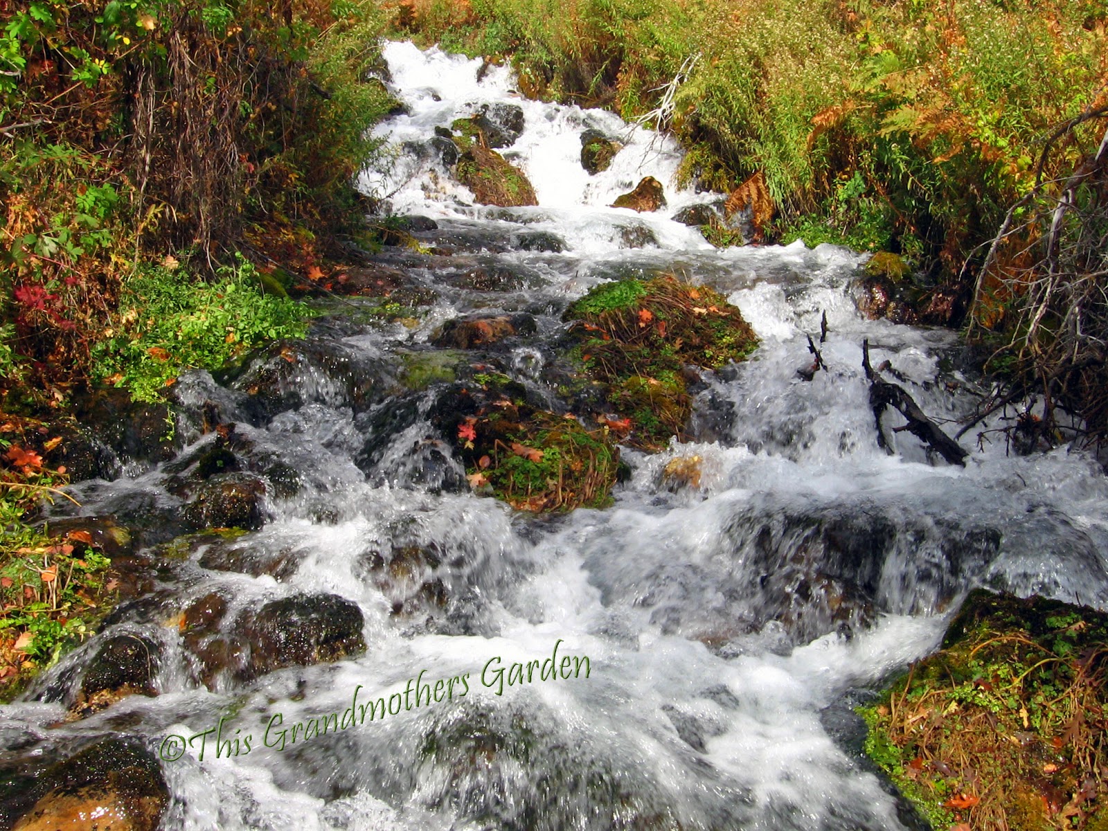 This Grandmother's Garden: Cascade Springs in Autumn... Magical!