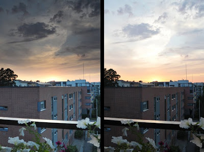 John Hedgecoe Project