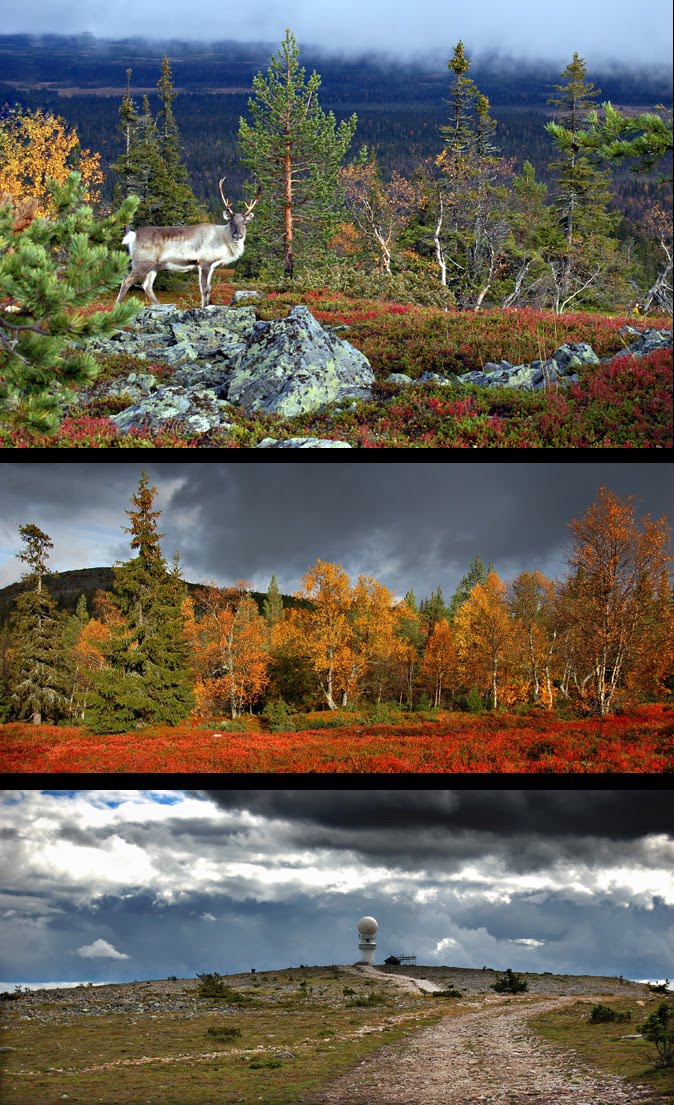 John Hedgecoe Project