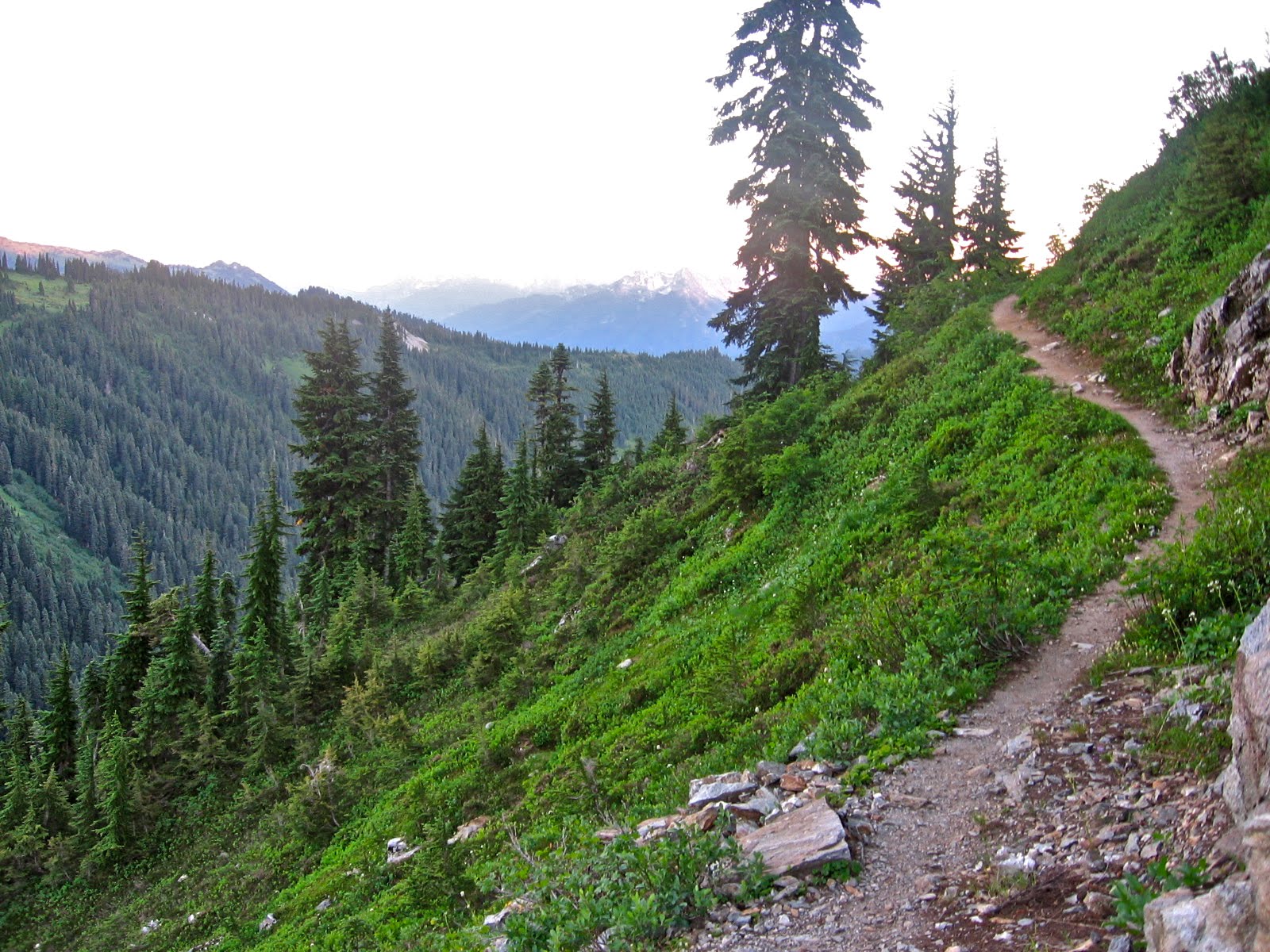the flying squirrel: Meander Meadow - Kodak Peak - Indian Pass