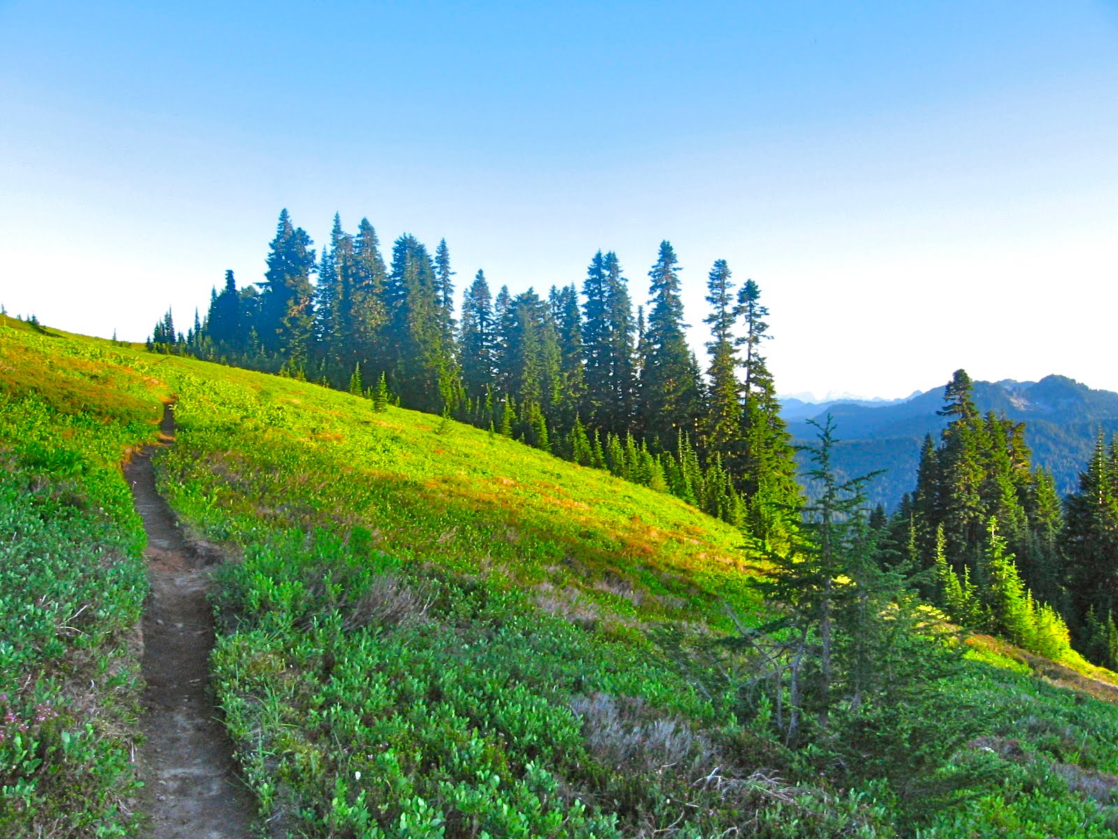the flying squirrel: Meander Meadow - Kodak Peak - Indian Pass