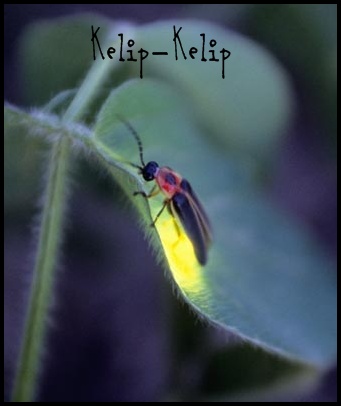Haslinda: Kelip - Kelip Si Kunang-kunang