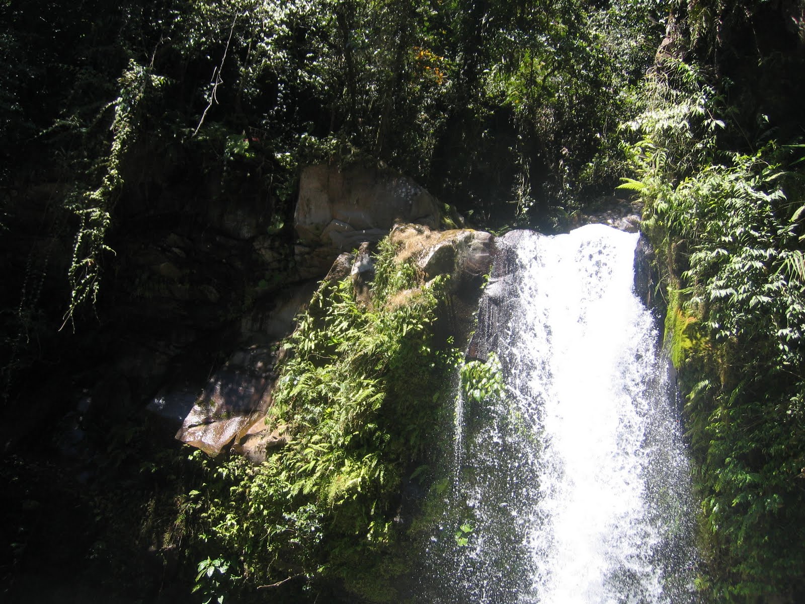 Cooling Down at Majayjay Falls |Filipino Sojourner