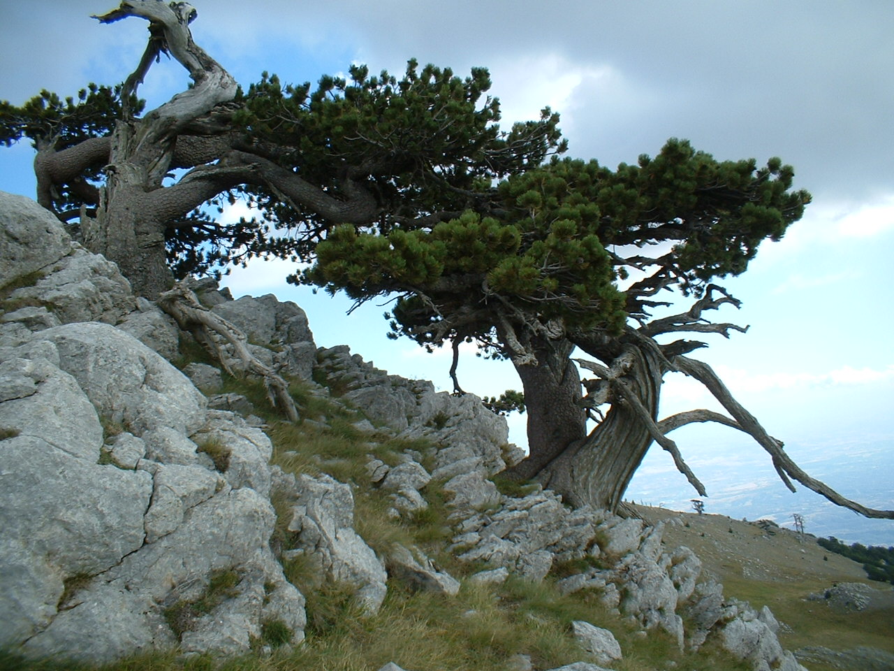pollino .... culla degli dei: Escursione Monte Pollino