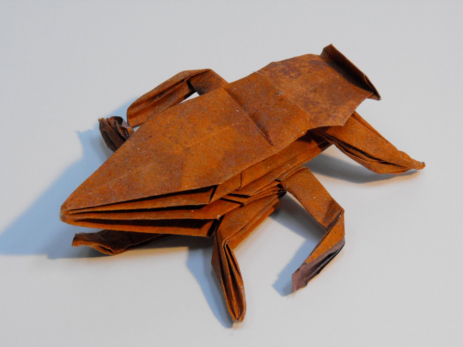 origami gissendanner: Origami Insects and Such