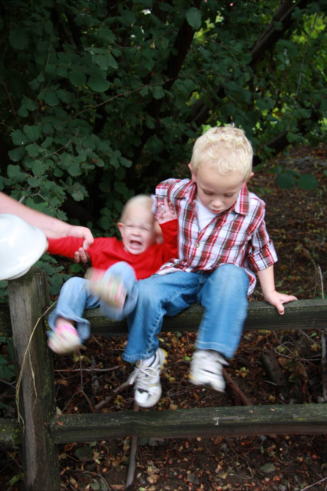 The Jenkinson Family