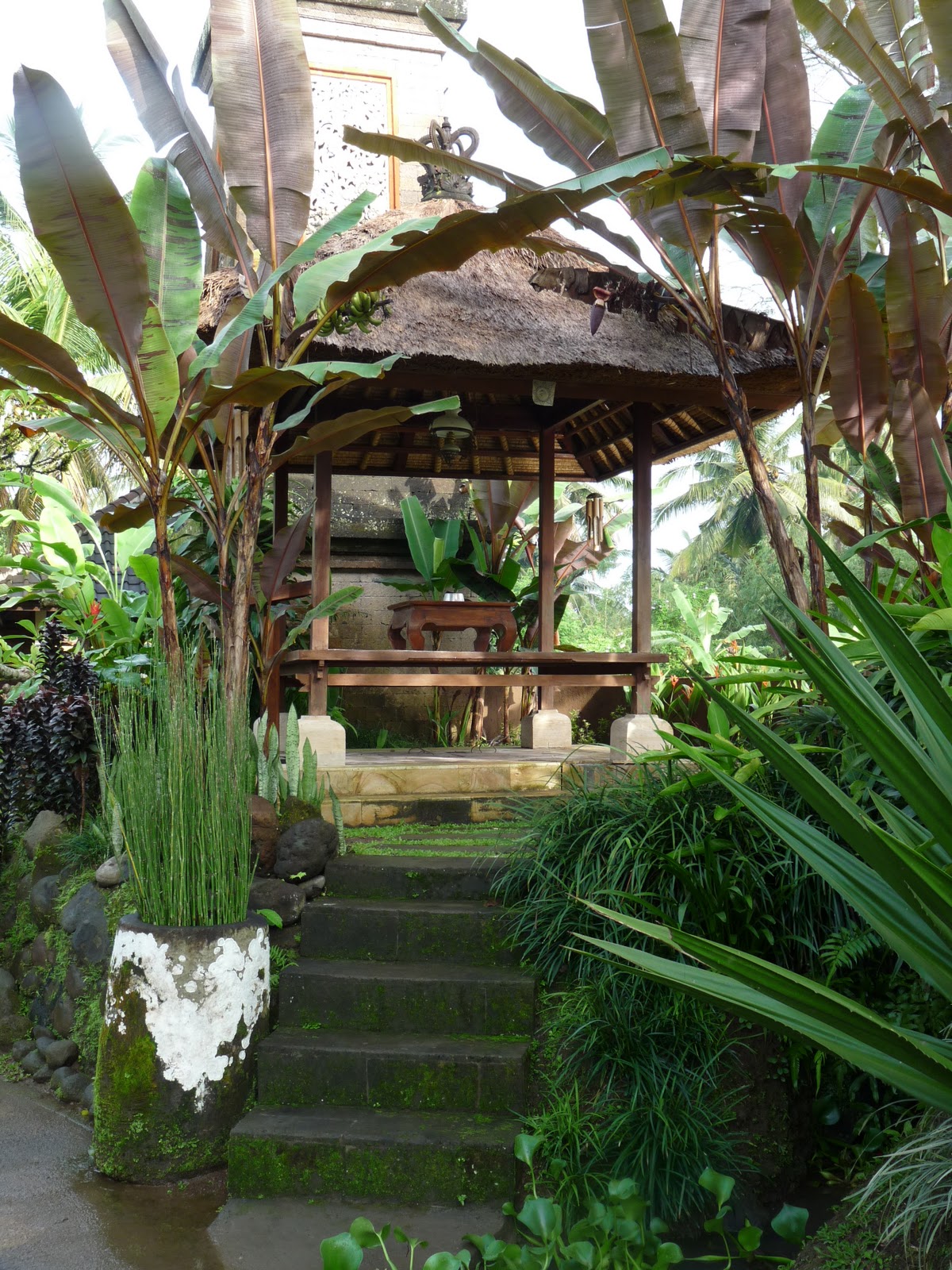 eastcoastlife: Staying Amidst Padi Fields in Bali