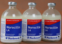 Малын эм, багажны танилцуулга: Нороциллин ЛА