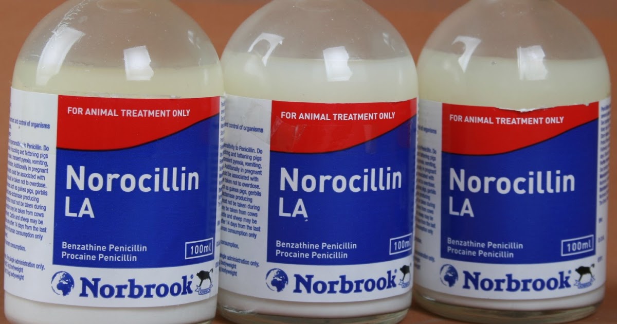 Малын эм, багажны танилцуулга: Нороциллин ЛА