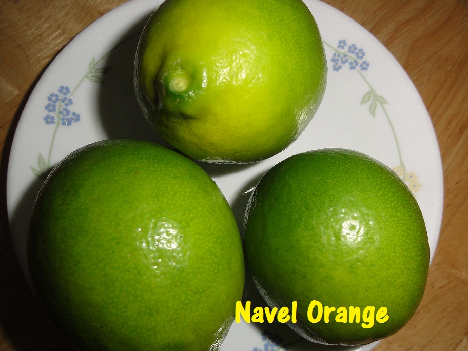 Divya's Cooking Journey: Navel Orange Rice /Pulihora ~ Boddu Naarinja ...