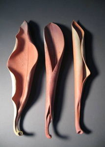 (Mud)Bucket: Alice R. Ballard