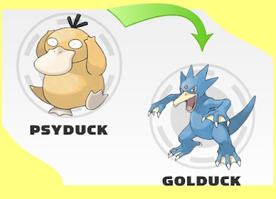 Rede Pokemon: evolution do psyduck