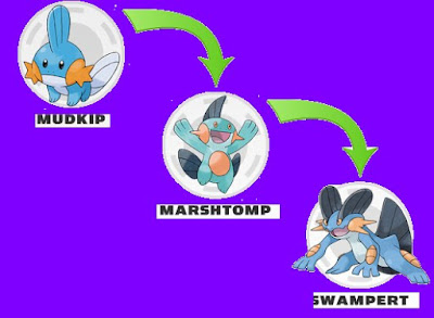 Rede Pokemon: evolution do mudkip