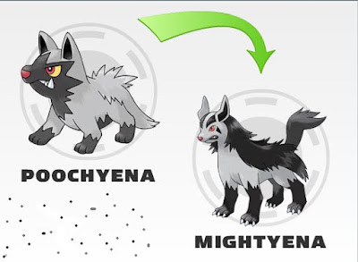 Rede Pokemon: evolution do poochyena