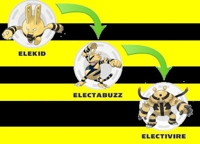 Rede Pokemon: evolution do elekid