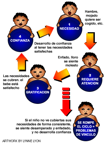 Orientación Familiar: El apego