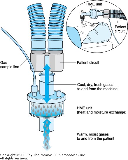 MEDICAL BLOG: Mesin Anestesi - Sirkuit Pernafasan