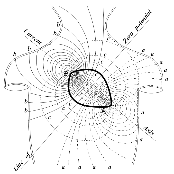 A Walsall Field: Electric Field of the Heart