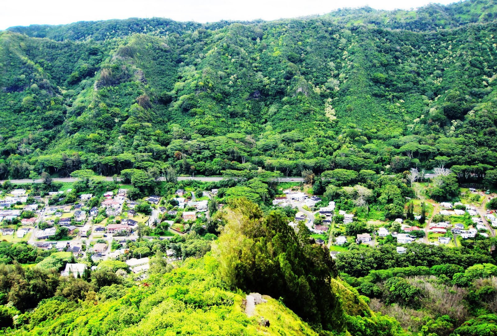 Beyond the Sandbox: Kamanaiki