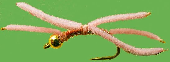 Fly Fishing In Yellowstone National Park: 04/01/2010 - 05/01/2010