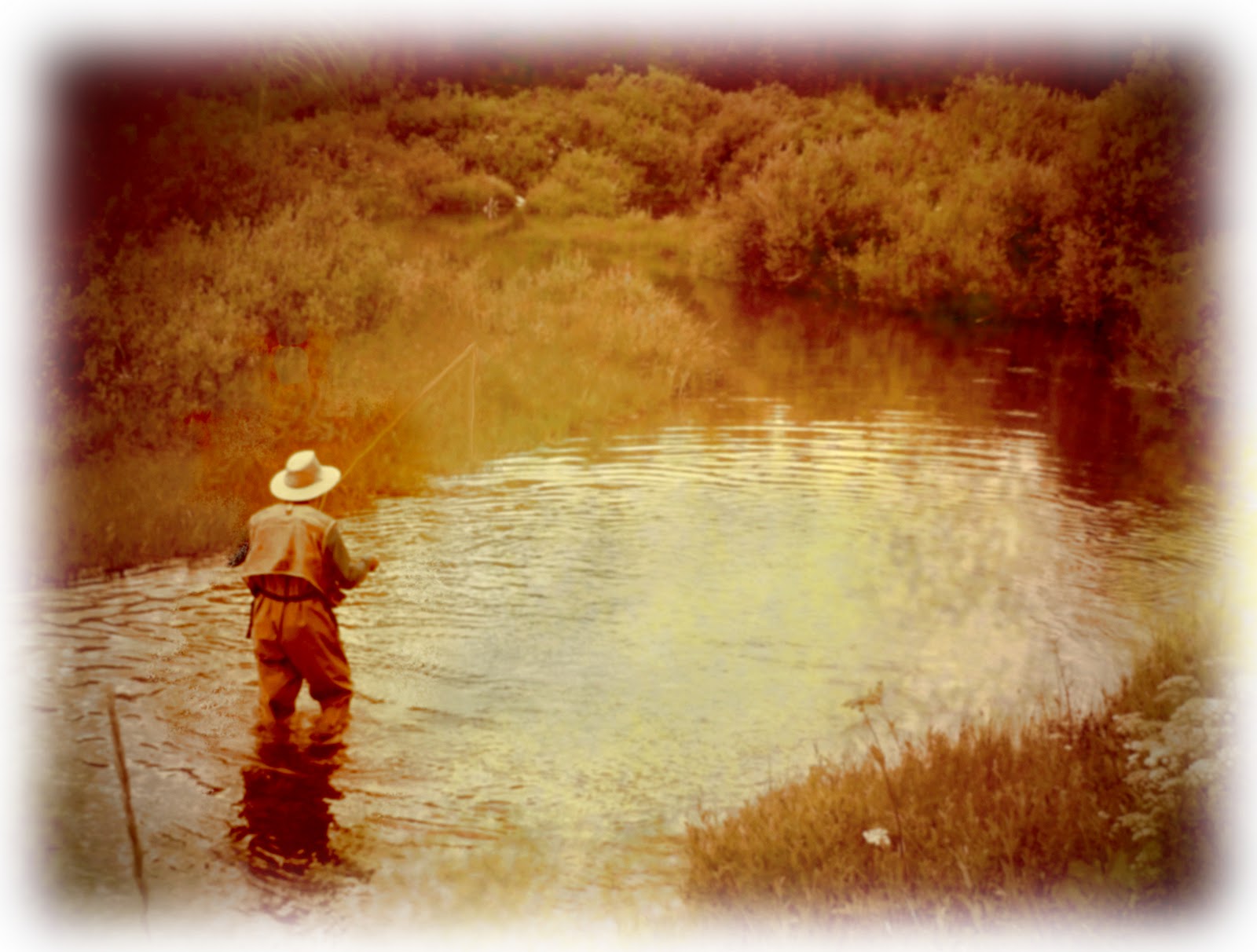 Fly Fishing In Yellowstone National Park: Tally Ho